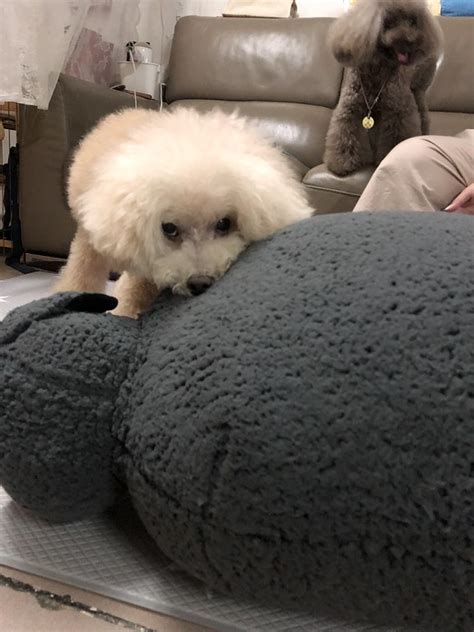 Untitled Leung Morrisa Flickr