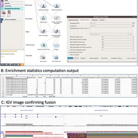 Fusion Detection Bioinformatics Workflow And Output Panel A Download Scientific Diagram