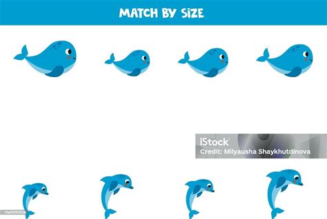 미취학 아동을위한 매칭 게임 푸른 돌고래와 고래를 크기별로 일치시킵니다 0명에 대한 스톡 벡터 아트 및 기타 이미지 0명 개체 그룹 고래 Istock