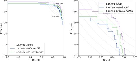Precisionrecall Curve For The Fine‐tuned Vgg19 Architecture On The Download Scientific Diagram