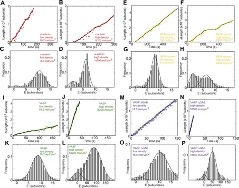 1 Actin Filament Elongation As A Function Of The Surface Density Of Download Scientific