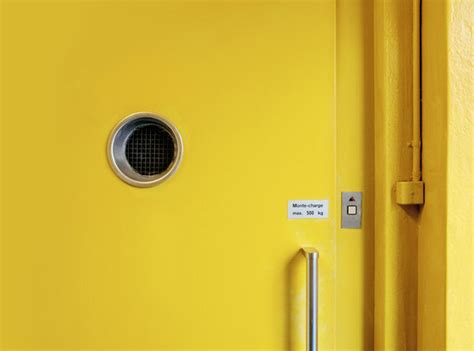 Ginger Love Ginger Love