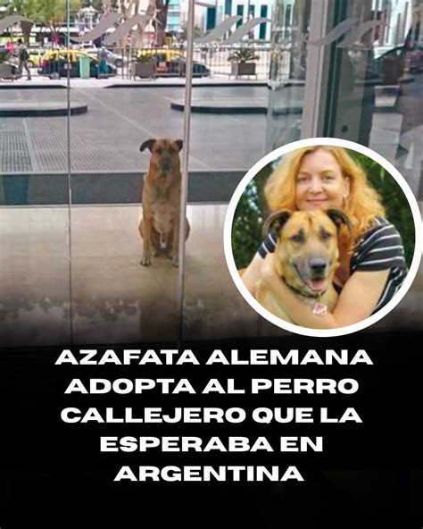 Naturalmente La Historia De Amor Entre Olivia Sievers Y Facebook