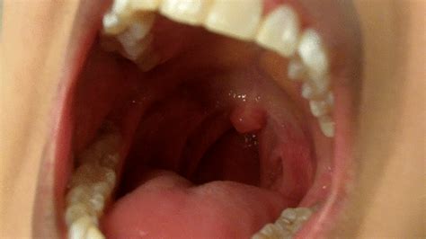 Laila Variety Fetish Clips Nostril Flaring 112920