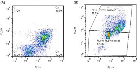 Dot Plots Of Staining With Annexin V And Pi A Dot Plots Of Staining