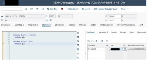 Sap Abap Central Delete Foreign Lock Entries In Debug