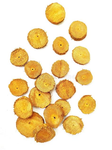 Pieces Of Wood Or Small Branch Stock Image Image Of Isolated