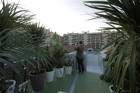 So Il And Mini Create An Air Filtering House That Contributes To Improving Urban Life