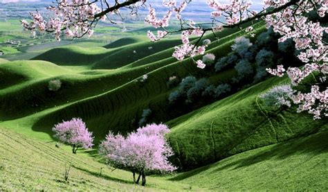 探究开发app尺寸及最佳软件工具 霸气网站开发