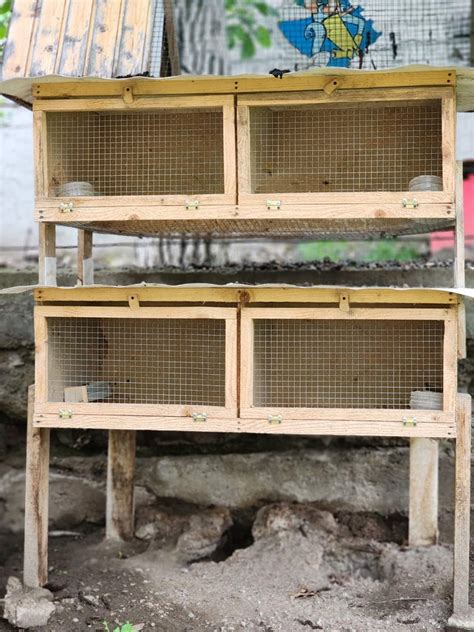 კურდღლების გალიები თბილისის ფორუმი