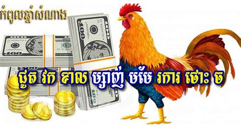 លាភចូលកាត់ព្រឹក ឆ្នាំ ជូត វក ខាល ម្សាញ់ មមែ រការ ថោះ ច យីអ៊ុនឡើងខ្លាំងថ្ងៃ 21 22 23 24 នេះ