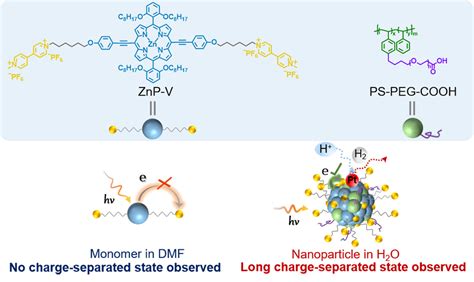 具有长寿命电荷分离态的捕光自组装纳米颗粒对光解水产氢产率的影响 X Mol资讯