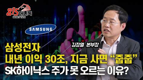 삼성전자 지금 사면 줍줍 내년 이익 30조 예상 Sk하이닉스 주가 못 오르는 이유는 김장열 본부장 Youtube