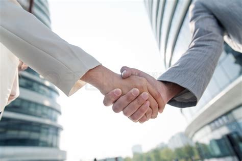 白领高清图片 商务人士握手 商务办公免费下载格式5184像素编号66846650 千图网