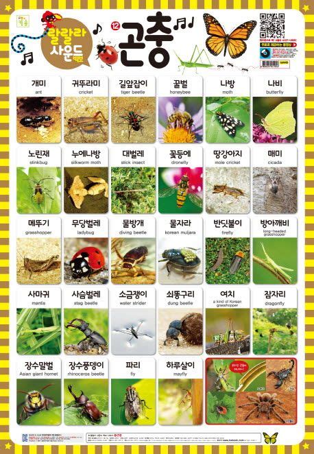 랄랄라 사운드 벽보 12 곤충 키움 편집부 교보문고