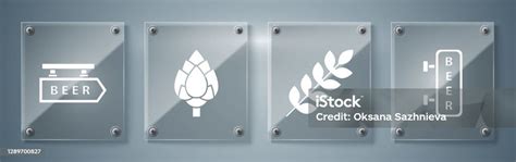 비문 맥주와 함께 거리 간판을 설정 쌀 밀 옥수수 귀리 호밀 보리 홉과 비문 맥주와 거리 간판 세트 정사각형 유리 패널 벡터 밀에 대한 스톡 벡터 아트 및 기타 이미지