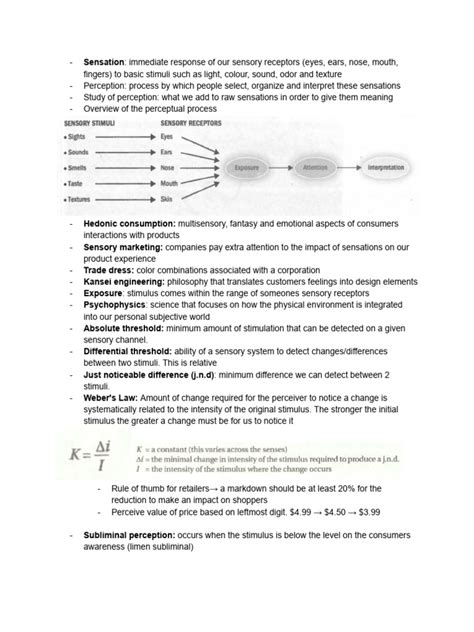 Chapter 2 Perception Pdf Perception Senses