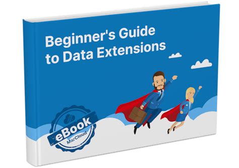8 Must Know Tips For Salesforce Data Extensions Marcloud