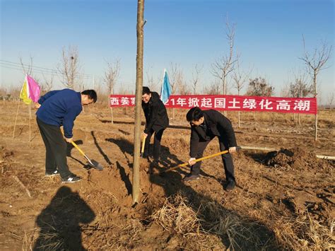 祥符区西姜寨乡：用党建红引领生态绿
