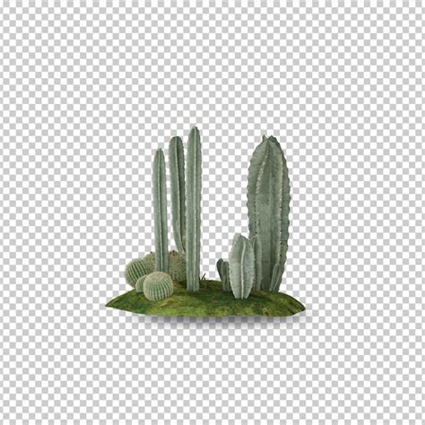 Premium Psd Tropical Plant And Tree Mockup Premium Psd Tropical Plant And Tree Mockup