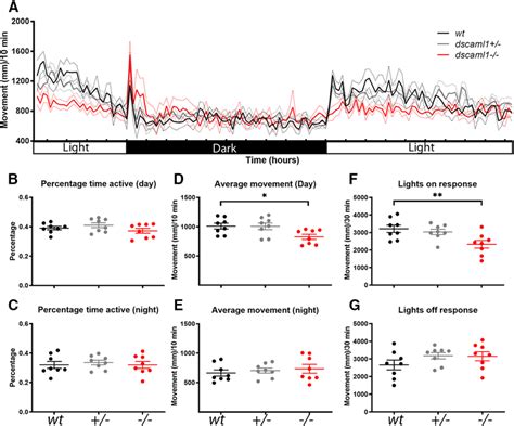Locomotor Activity In Response To Light A Locomotor Activity Over 24
