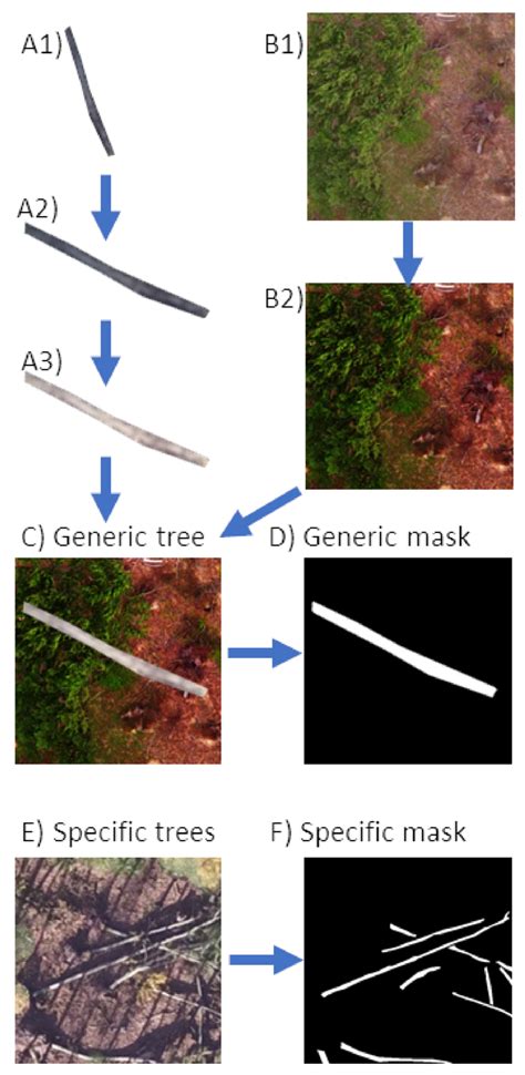 Schematic Illustrations Of The Augmentation Process Of The Generic Download Scientific Diagram