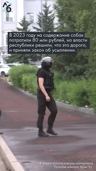 Десятки клеток с собаками привезли к администрации Улан Удэ Службе отлова нечем кормить