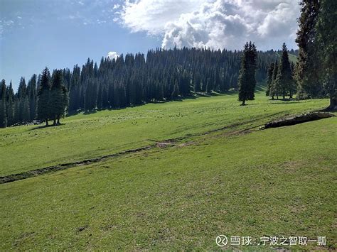 煤电铜铝资源股的重新估值之路 前几天煤炭股大幅回调匆匆忙忙减仓了一些煤炭电力股票发现减仓在低位了大部分个股没发现主力资金出货迹象更多