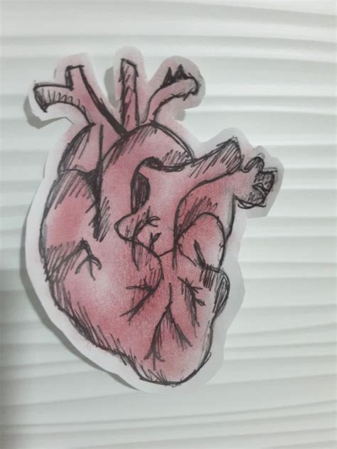 Heart Drawing