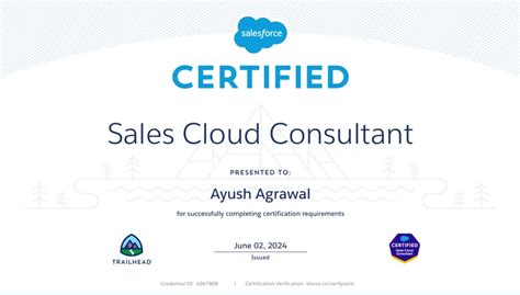 Ayush Agrawal On Linkedin Salesforce Salescloud Certification Careeradvancement Crm…