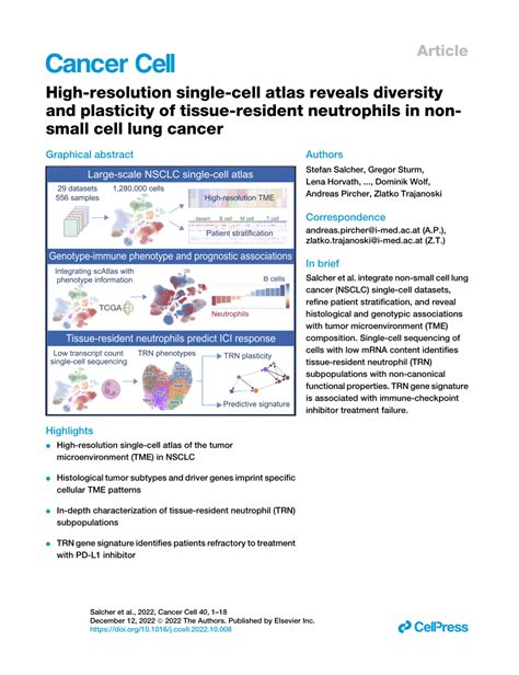 Pdf High Resolution Single Cell Atlas Reveals Diversity And