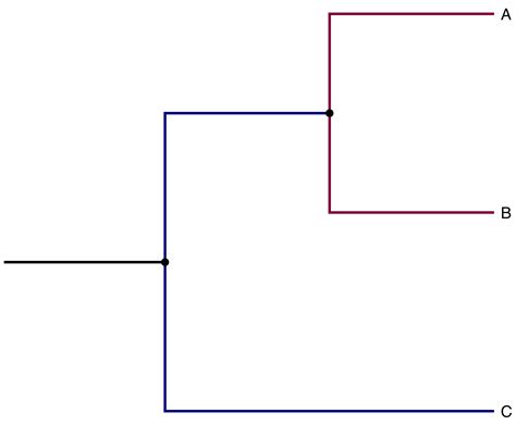 Vignette Parallelizing Slim Simulations In A Phylogenetic Tree — Pyslim Manual