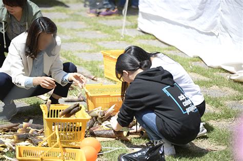 재미와 힐링을 동시에 제9회 거제 맹종 대나무 축제 거제타임라인