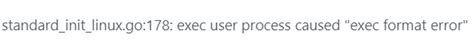 standard init linux go 228