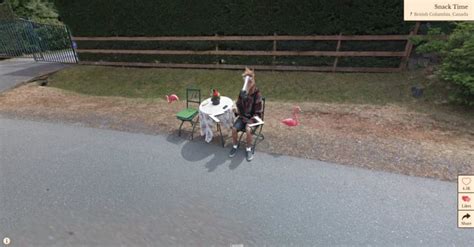 Wonders Of Street View Highlights The Most Bizarre Scenes On Google