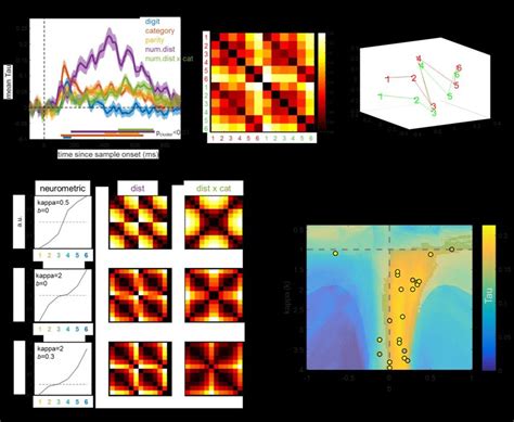 Representational Similarity Analysis Rsa A Time Course Of Download Scientific Diagram