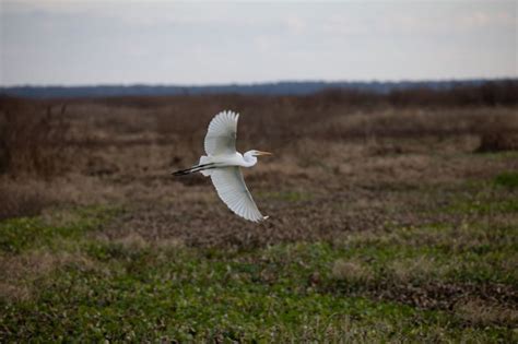 Sean Meyn Will Host The 7th Workshop On Cognition And Control Next Week… Marcy Lee