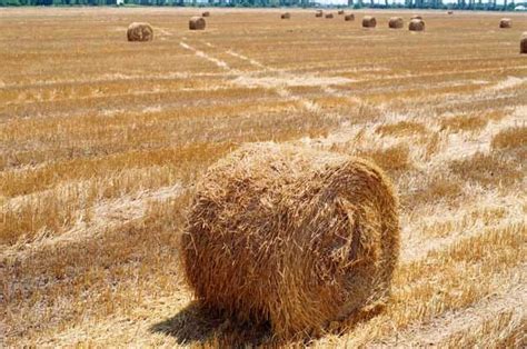 neural networks for market indicators analysis by yuli vasiliev level up coding