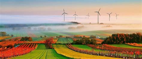 碳排放权交易管理暂行条例