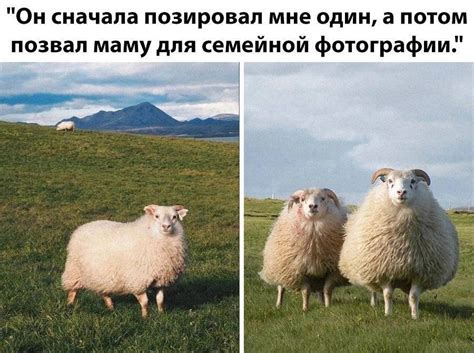 Он сначала позировал мне один а потом позвал маму для семейной фотографии семейное фото