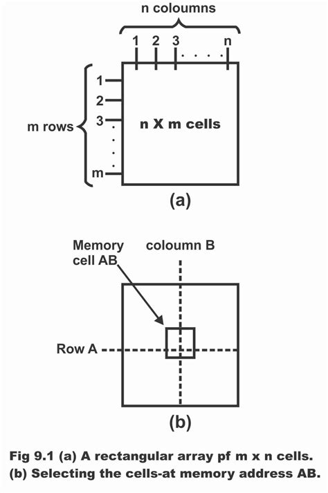 Memory Addressing Writing And Reading Operation In Digital Electronics