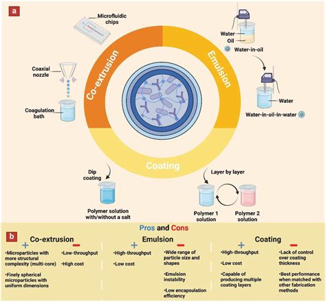 A Particle Size Distribution Of Alginate And Chitosan Coated Alginate