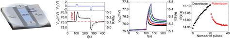 Electrolyte Gated Synaptic Transistor Based On An Ultra‐thin Film Of La07sr03mno3 López