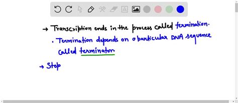 Solved The Sequence That Signals The End Of Transcription Is Called