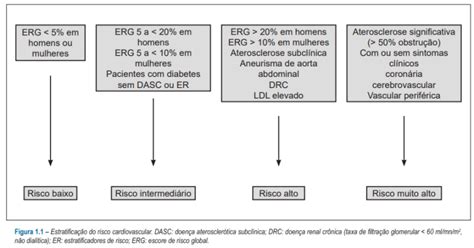 Estratificação De Risco Cardiovascular Blog De Medcof Conteúdos