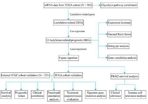 Study Workflow Diagram Download Scientific Diagram
