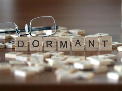 Dormant Companies Tell Hmrc An Accounting Gem
