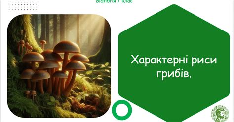Презентація конспект уроку та робочі аркуші на тему Характерні риси грибів 7 клас НУШ