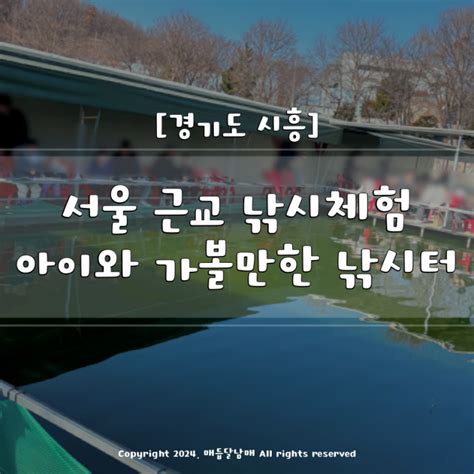 서울 근교 낚시터 경기도 시흥 낚시체험 아이와 가볼 만한 곳 네이버 블로그