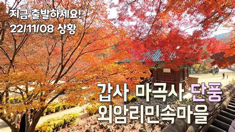 지금 출발하세요 충남 단풍 여행지 3선 공주 갑사 공주 마곡사 아산 외암리민속마을 당일 여행 추천 코스 22 11 08 촬영 Youtube
